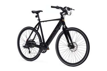 Electric bikes
