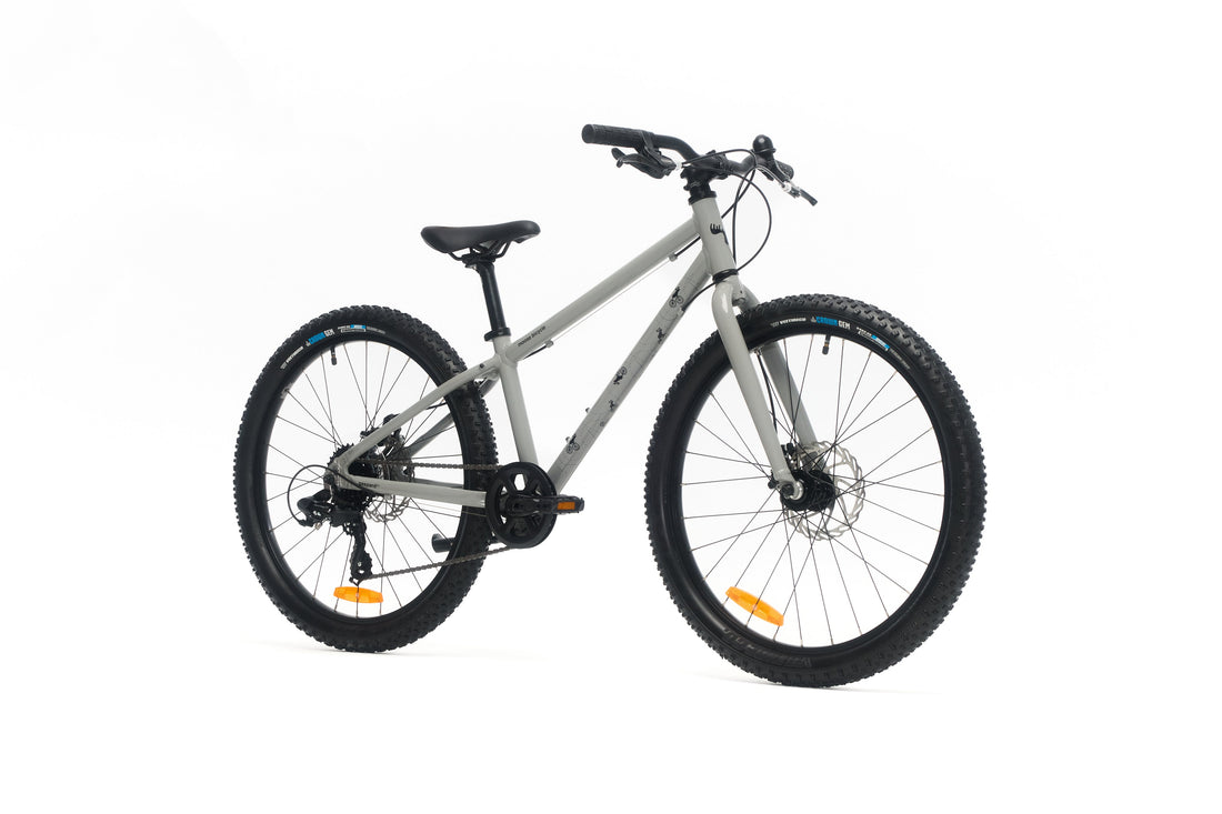 Electric Fat Bike