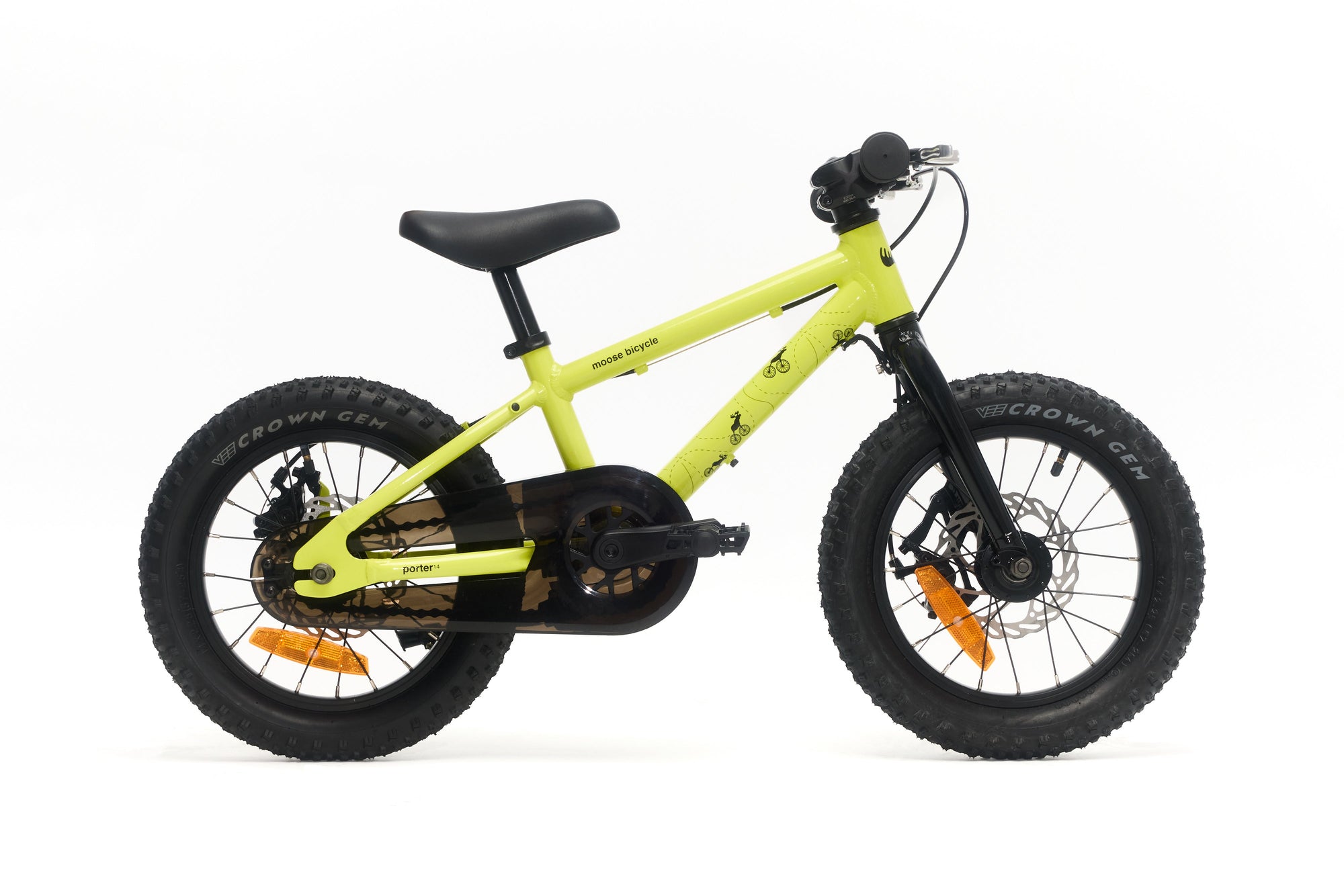 Electric Fat Bike