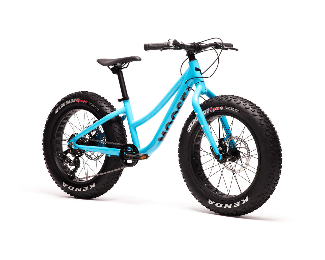 Fat Bikes Collection | Moose Bicycle – Defy The Unrideable